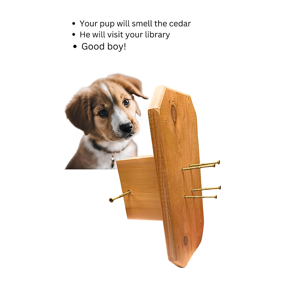 Little Library Mount, Cedar | Library Mount | Stable, 14 inches Wide and 8 inches Deep | Slip It On 4x4 Post, Attach It With Screws Included | Most Stable Library Mount | Needs No Finishing, Painting