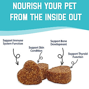 Pet Nutritional Supplement Trace Minerals Soft Chews for Dogs& Cats of All Ages, Cobalt, Manganese, Potassium, Iron, Zinc, for Immune System, Metabolism, Skin and Coat, 9.17oz/260g (170 Chews)