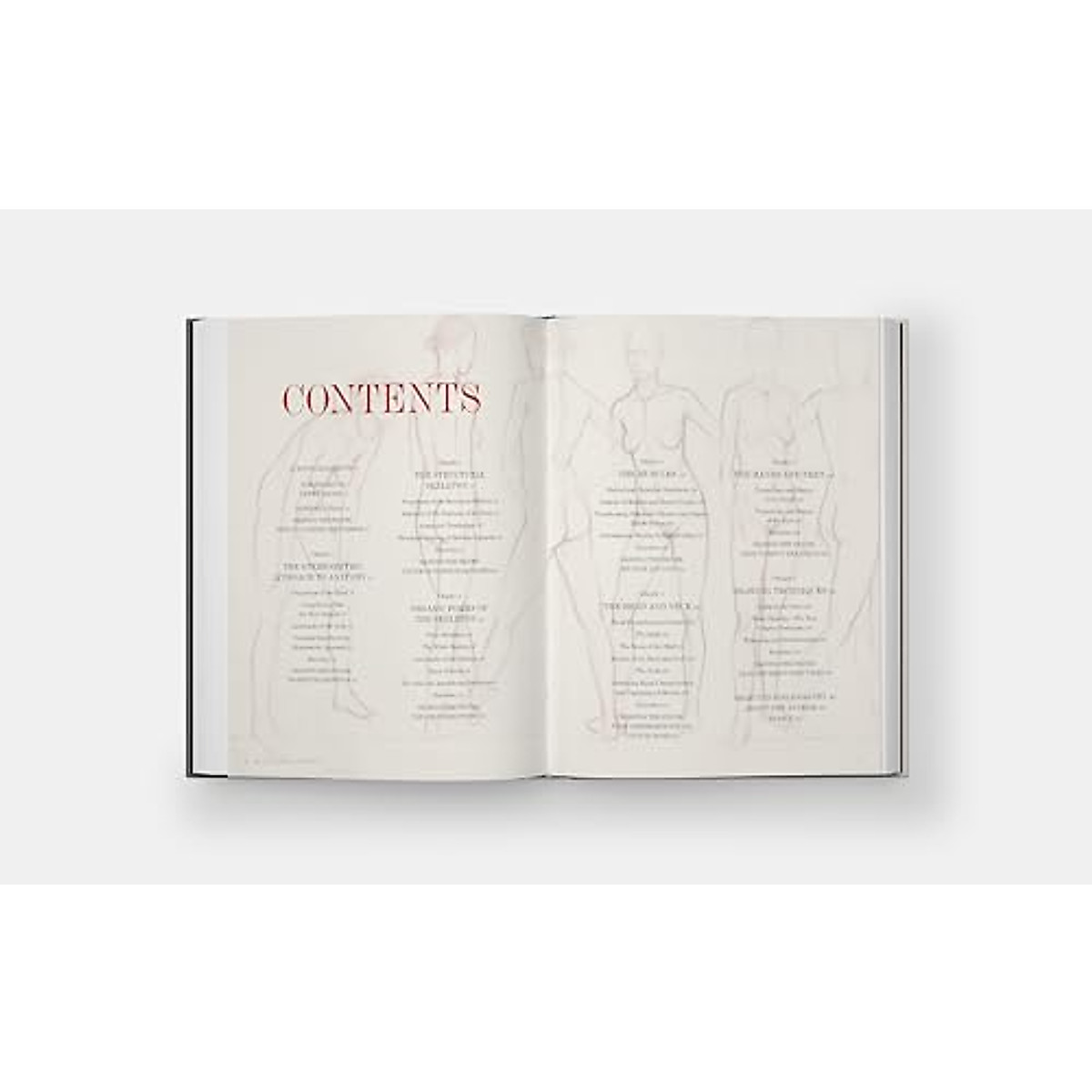 Basic Human Anatomy: An Essential Visual Guide for Artists