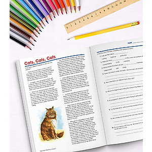 Spectrum Reading Comprehension Grade 5 Workbooks, Ages 10 to 11, 5th Grade Reading Comprehension, Nonfiction and Fiction Passages, Summarizing Stories and Identifying Themes - 174 Pages (Volume 24)