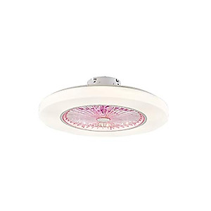 NERDOH Creative Fan Ceiling Lamp in Living Room Morden Dining Room Bedroom Invisible Ceiling Fan Household Led Home Decor Ceiling Light (Color : A)