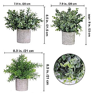 Winlyn Mini Potted Plants Artificial Eucalyptus Boxwood Rosemary Greenery in Pots Faux Potted Herbs Small Houseplants 8.3"-9" Tall for Indoor Greenery Tabletop Décor Centerpiece 3 Pack