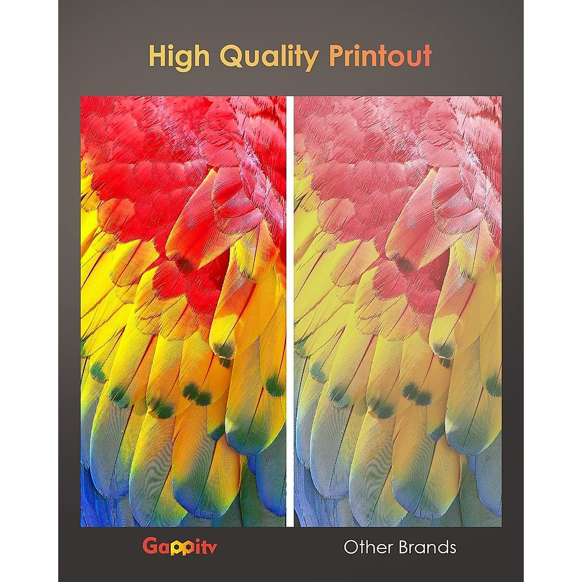 902XL Ink Cartridge Combo Pack Replacement for HP 902 XL 902XL Ink Cartridges Compatible with OfficeJet Pro 6978 6968 6970 6960 6958 6950 6962 6975 6954 Printer (BKCMY 4 Pack)