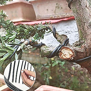 Tree Training Wires for Bonsai Tree, 3 Sizes 1.0mm, 1.5mm, 2.0mm Tree Training Wire Aluminium Wire Plant Growing Training Tools