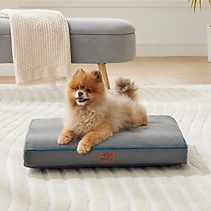 Bedsure Waterproof Dog Beds for Small Dogs - 4 inch Thicken Up to 20lbs Small Dog Bed with Removable Washable Cover, Pet Bed Mat Pillows, Grey