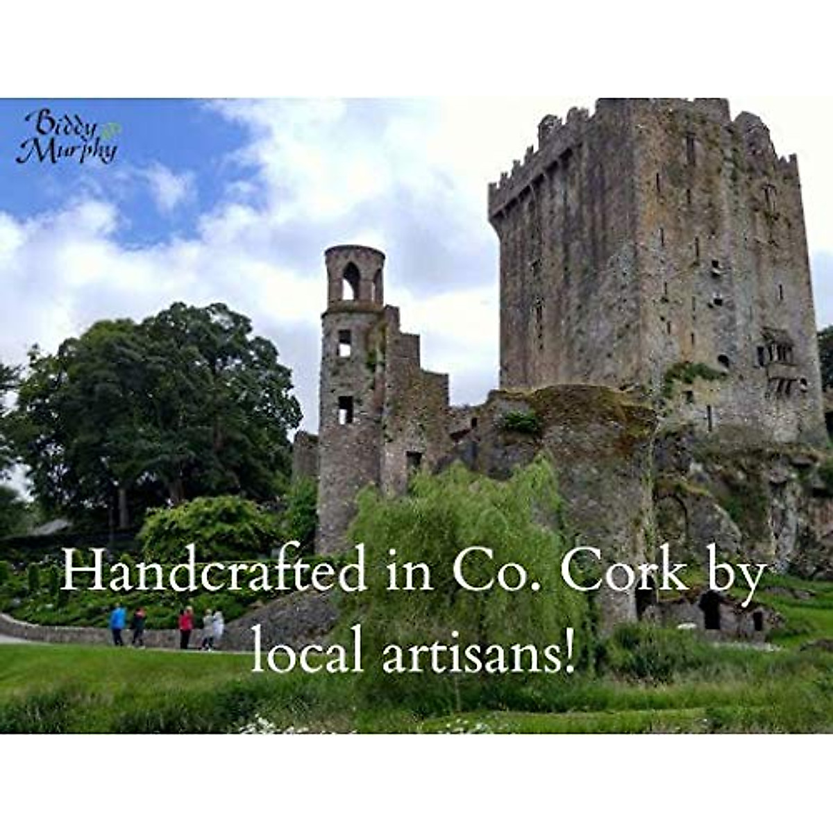 Wild Goose Irish Guardian Angel of Home & Family Plaque