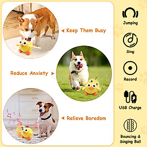 Dcoinc Interactive Dog Toys, Squeaky Dog Toys with Interactive Dog Ball, Crazy Chicken Dog Toy with Music, Washable Dog Chew Toys Pet Plush Toys for Puppy/Small/Medium/Large Dogs Chasing