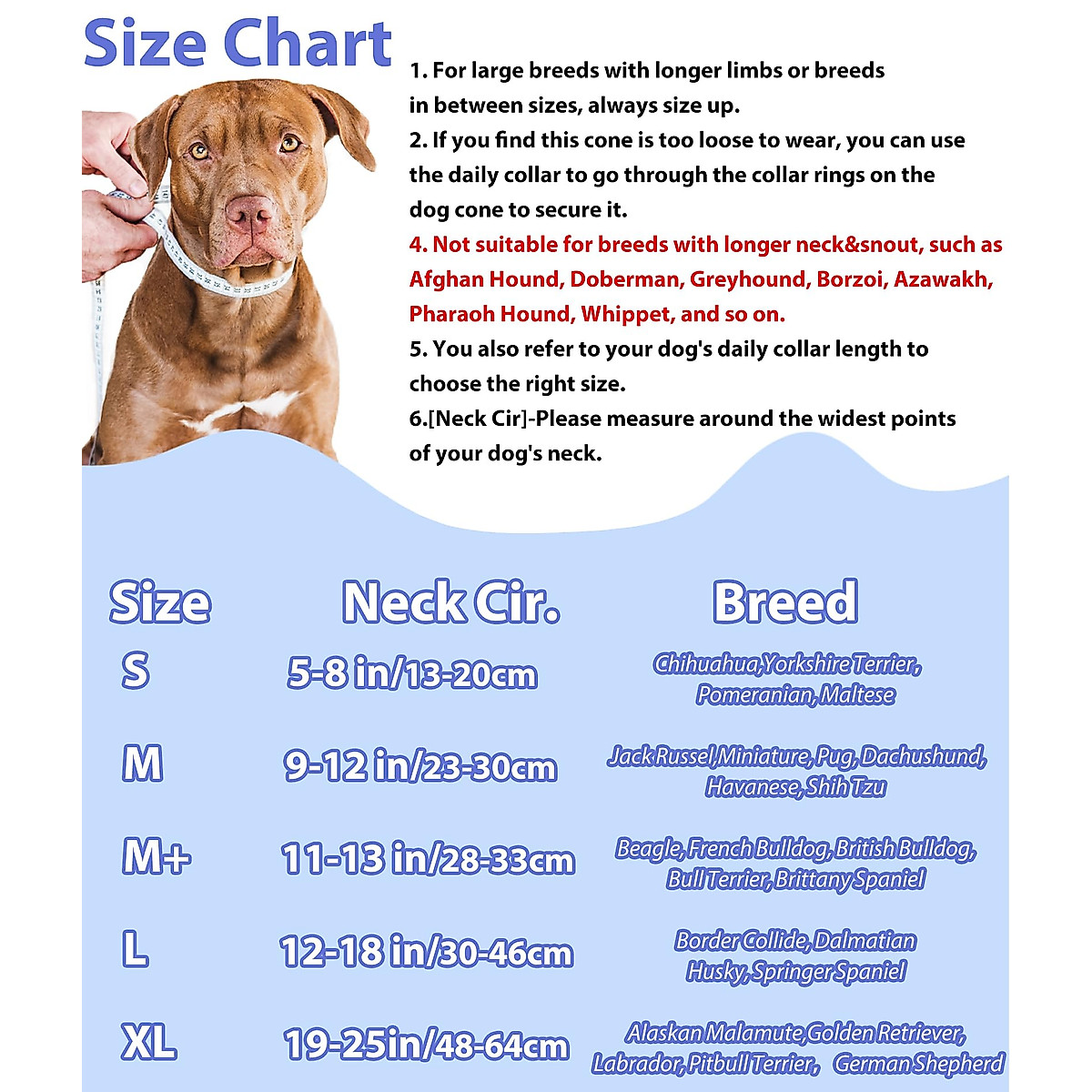 Soft Inflatable Dog Cone Collar for Large Medium Small Dogs, Cone for Dogs Alternative After Surgery, Donut Cones to Stop Licking Scratching with Clear Baffle (Blue, XL (Neck: 19-25 in))