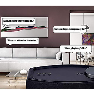 Naxa Electronics NAS-5001 Wi-Fi & Bluetooth Multi-Room Speaker with Amazon Alexa Voice Control Compatible with iPhone & Android Devices Black