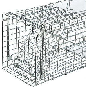 Large Animal Trap for Adult Cat, Rabbit Groundhog Squirrel Raccoon Mole Gopher Chicken Opossum Skunk Chipmunk, 32inch Live Traps for Animals Outdoor Indoor Collapsible Steel Release Animal Cage