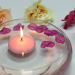 Zest Candle 12-Piece Floating Candles, 3-Inch, Light Rose