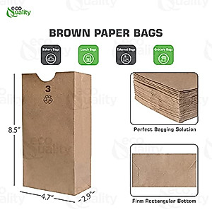 EcoQuality 100 Small Brown Kraft Paper Bag (3 lb) Small - Paper Lunch Bags, Small Snacks, Gift Bags, Grocery, Merchandise, Party Bags (4-3/4" x 2-15/16" x 8-9/16) (3 Pound Capacity)