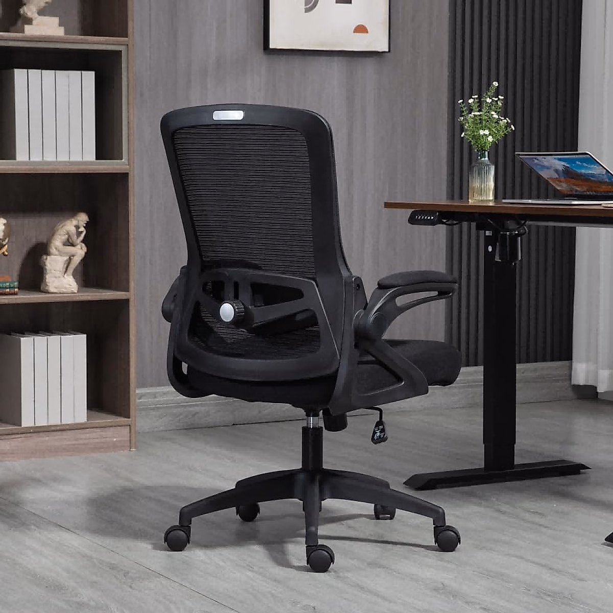 Office Chair,Ergonomic Home Office Desk Chairs Computer Modern Height Adjustable Swivel Chair with Lumbar Support (DCH-B2)