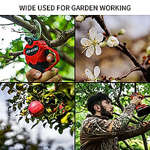 Dragro Electric Pruning Shears Professional Cordless Electric Pruning Battery Powered, Tree Branch Pruner with 2 PCS Rechargeable 2 Ah Lithium Battery - 30mm (1.2inch) Cutting Diameter