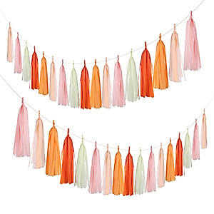 Guzon 25pcs The Sun Birthday Decorations Tissue Tassel Garland DIY Hanging Paper Decorations for Birthday Baby Shower Spring Summer Fall Retro Hippie Decorations Supplies