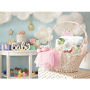 Baby Monthly Milestone Blanket for Girl & Boy - Floral Plush Fleece for Baby Photo – Baby Shower/Registry Gift – Baby Safe Soft Wrinkle Free - Swaddle and Throw - Bonus Wreath + Organic Cotton Bib