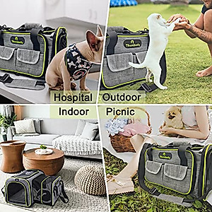 Thumberly Cat Carrier Soft-Sided - Pet Carrier Airline Approved for Medium Cats, Small Animals and Puppy Under 15 Lbs, Small Dog Carrier 1 Side Expandable - Size Small