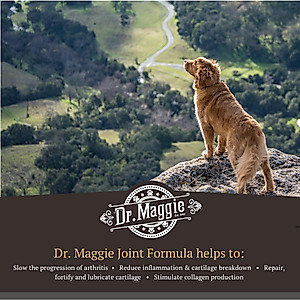Dr. Maggie Joint Formula for Dogs and Cats with MSM, Glucosamine, and Chondroitin | 240 ml