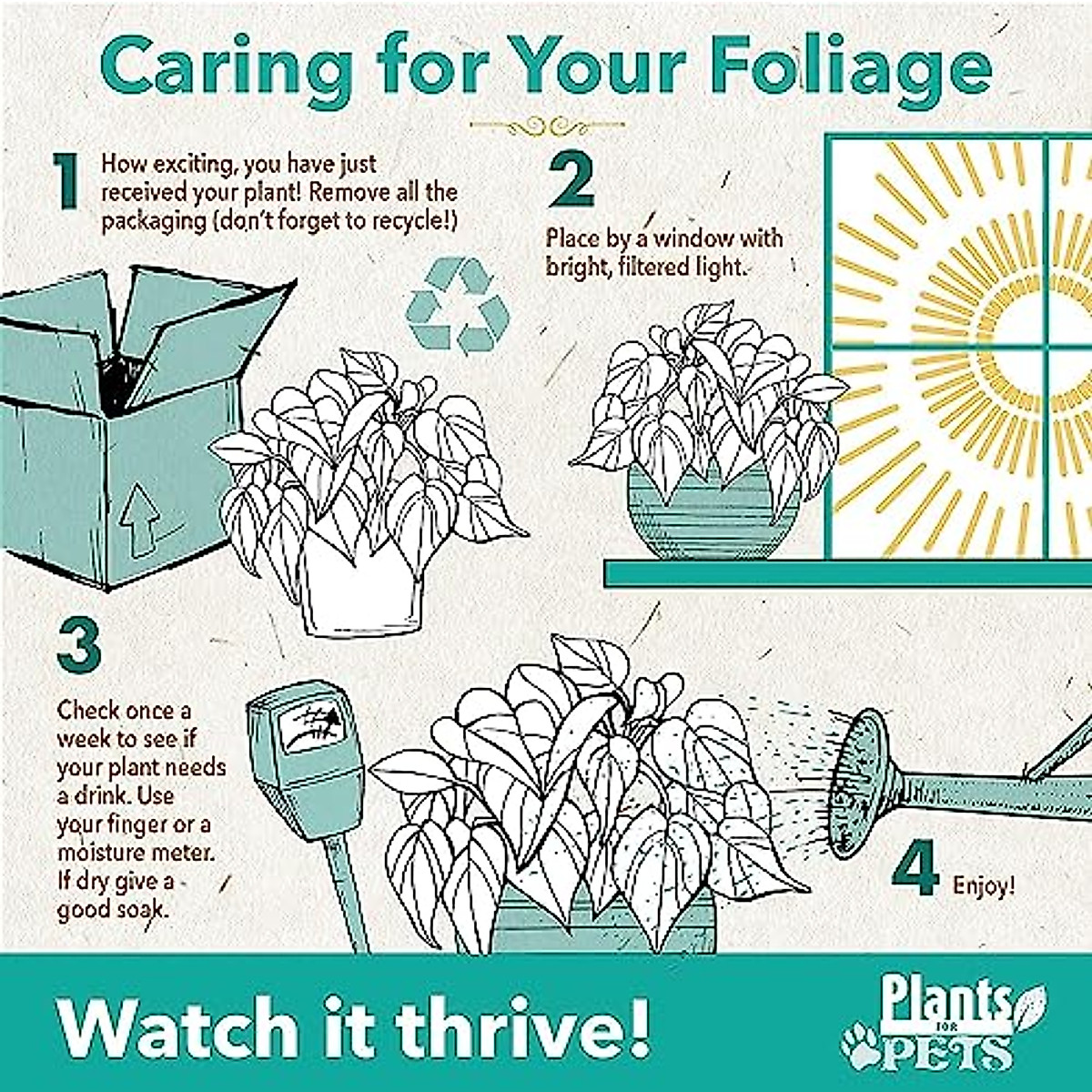 Birkin Philodendron in 6 Inch Pot for Indoor Plants Live Houseplants, Office Plants, Easy Plant Gift, Philodendron Plant Live Plants Indoor Plants Live House Plants Live Plant Decor by Plants for Pets