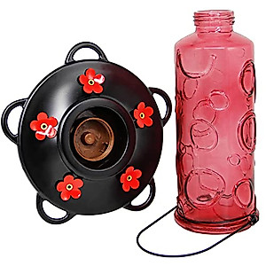 Juegoal 28 oz Glass Hummingbird Feeders for Outdoors, Wild Bird Feeder with 5 Feeding Ports, Metal Handle Hanging for Outdoor Garden Tree Yard, Red