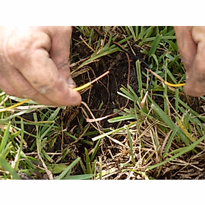 Extreme Dog Fence Dog Fence Wire Splices (4 Pk) - Install, Repair or Expand Any in Ground Dog Fence Wire with Electric Fence Wire Splice Kits or Add to Your Dog Fence Wire Repair Kit