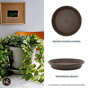 The HC Companies 17.5 Inch Round Plastic Classic Plant Saucer - Indoor Outdoor Plant Trays for Pots - 17.5"x17.5"x3" Chocolate