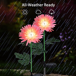 Solar Garden Lights, 2 Pack Solar Outdoor Lights, Chrysanthemum Shape Waterproof Solar Garden Decoration Lights for Lawn, Patio, Pathway, Yard (White)