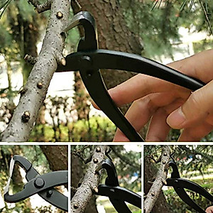 Pruning Shears, Bonsai Tools Bonsai Tool Kit Stainless Steel for Bonsai for Plant for Orchard for Garden