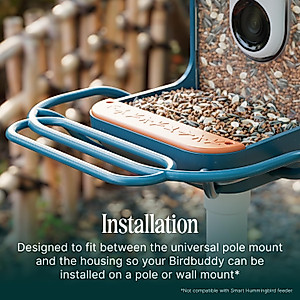 Bird Buddy Blue Perch Extender – Add-On Accessory for Better Bird Watching Experience - Outdoor Bird Perch for Feeding Multiple Birds - Weatherproof and Durable for Large Bird Species