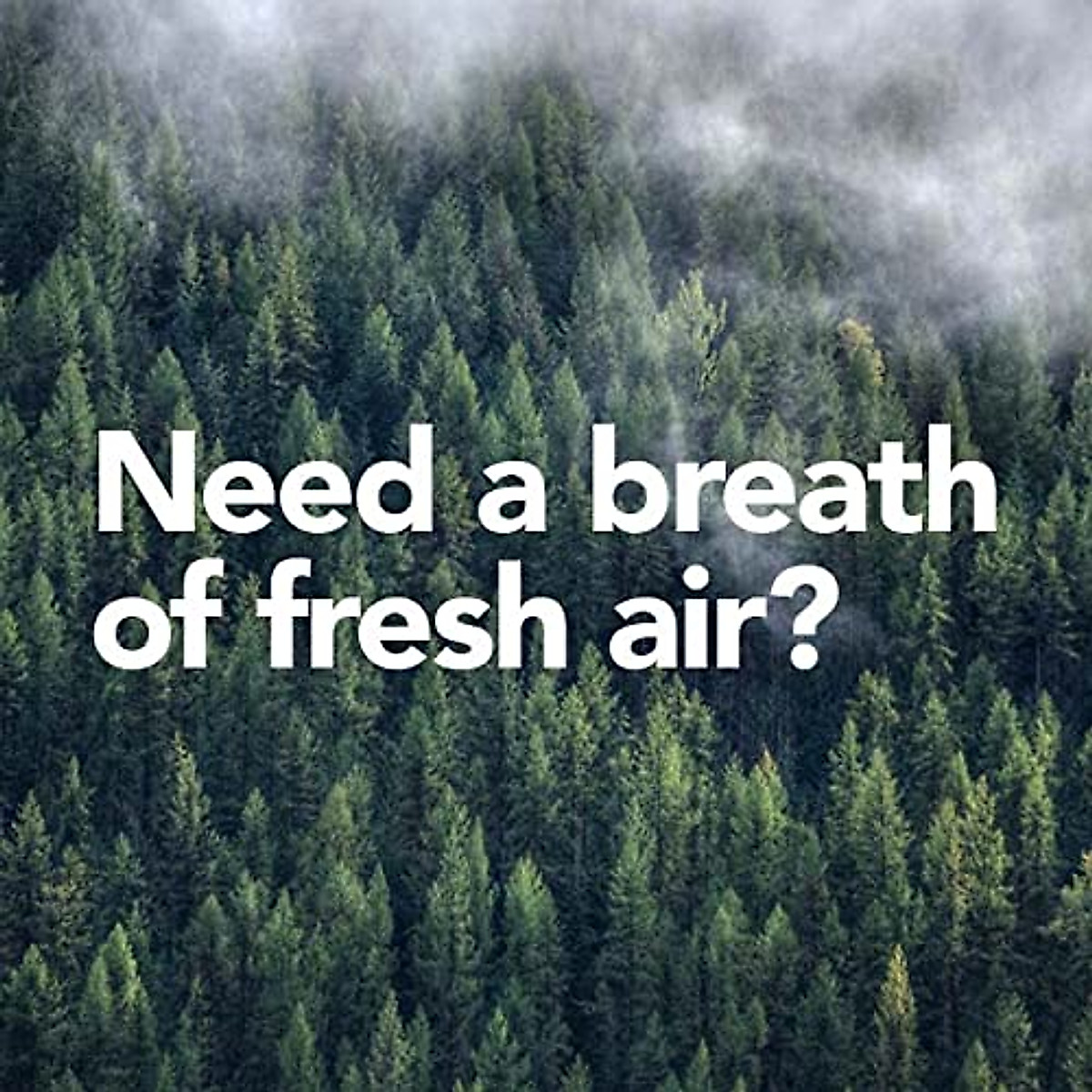 Broan-NuTone HD80L Heavy Duty Ventilation Fan, Residential or Commercial Installation, 80 CFM, 2.5 Sones,White