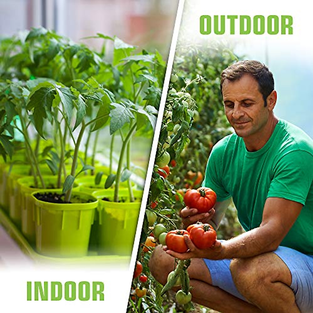 Heirloom Vegetable Seeds Pack - 100% Non GMO Heirloom Garden Seeds for Planting Outdoor, Indoor, Hydroponic - Tomatoes, Cucumber, Carrot, Broccoli, Radish Seeds and More