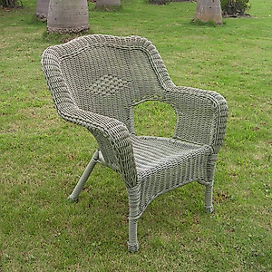 International Caravan Furniture Piece Camelback Resin Wicker Patio Chairs (Set of 2)