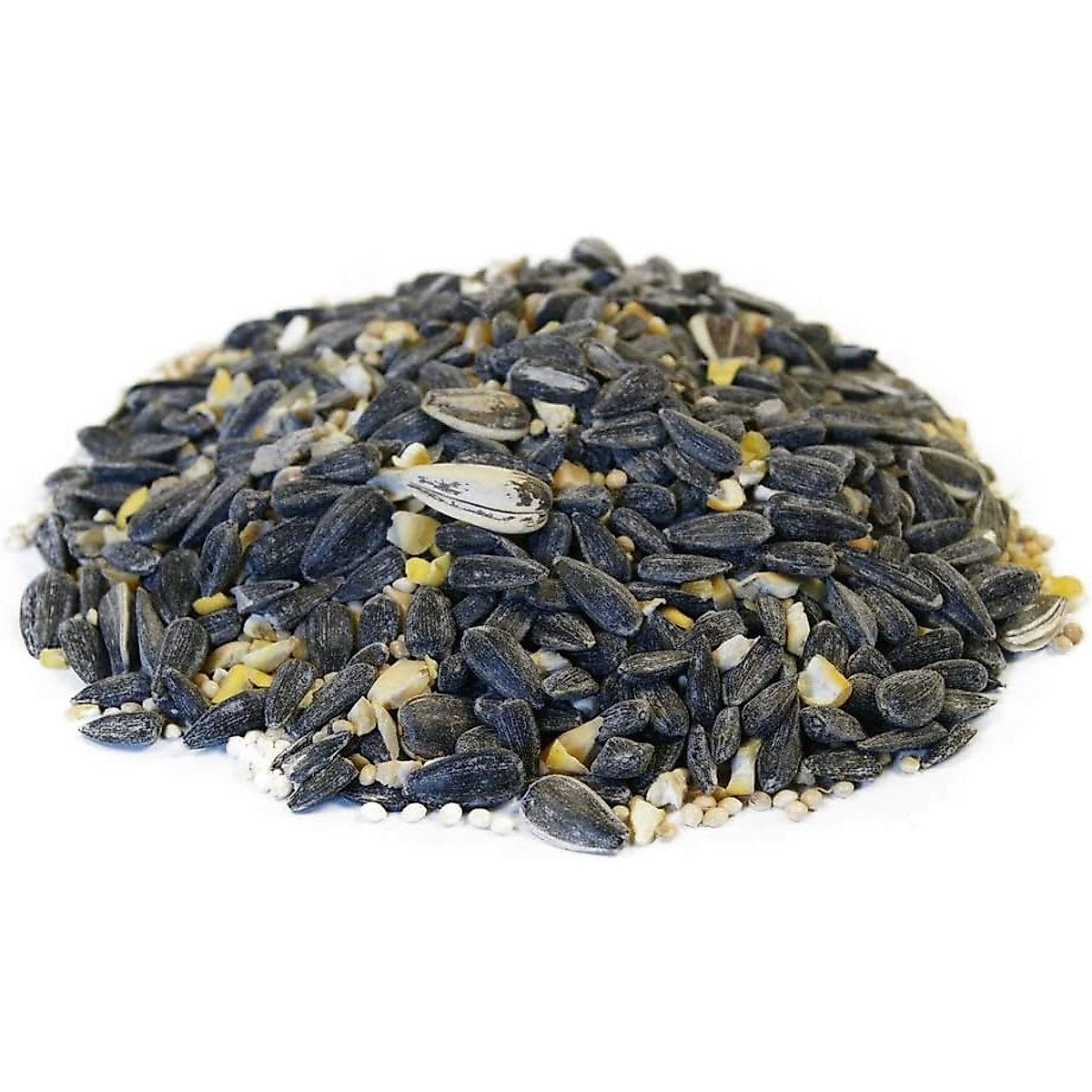 Backyard Seeds Premium Blend Bird Seed to Attract Songbirds - Wild Bird Food Mix with Black Oil Sunflower (40 Pounds)