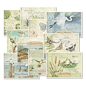Nature's Sanctuary Birthday Greeting Cards Value Pack - Set of 20 (10 designs), Large 5" x 7", Happy Birthday Cards with Sentiments Inside