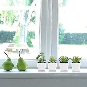 COCOBOO Artificial Succulents in Pots 4pcs Succulents Plants Artificial, Fake Succulents Small Potted Fake Plants for Desk Shelves Living Room Bedroom Kitchen Office Windowsills Decoration