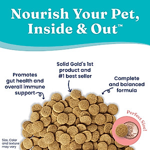 Solid Gold Hund N Flocken - Dry Dog Food w/Lamb, Rice & Pearled Barley - Digestive Probiotics for Dogs - Gut Health & Immune Support - Omega 3, Superfoods & Antioxidants - 4 LB