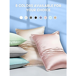 Mulberry Silk Pillowcase for Hair and Skin, SGMSILK 22 Momme Natural 6A Silk Pillow Case with Zipper Soft Texture, Single Sided Washable Pure Silk Pillow Cover(White, Standard 20"x26")