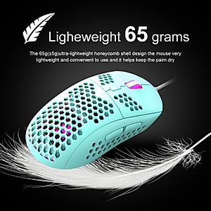 60% Wired Gaming Keyboard and Mouse Combo,Compact RGB Backlit Mini Mechanical Feel Keyboard,Converter Adapter,RGB 6400 DPI Lightweight Gaming Honeycomb Shell Mouse for Xbox,PC,Laptop,MAC