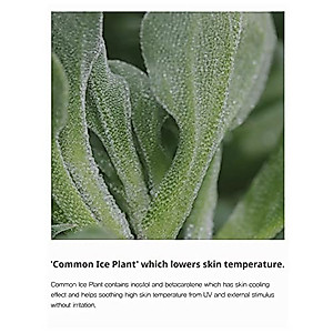 B_LAB Matcha Hydrating Real Sun Screen 50ml