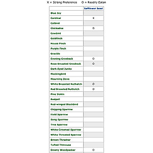 Valley Farms Safflower Seed Wild Bird Food for Outside Feeders, Safflower Bird Seed for Cardinals, Grosebeaks, and Buntings, Cardinal Bird Seed for Ourtside Feeders (15 LBS)