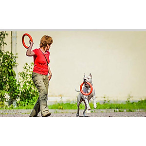 Soft Durable Rubber Tug Ring Dental Chewing Biting Chasing Training Toy for Dogs DT103 Orange 7 inch