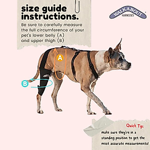 Walkabout Harnesses Black Knee Brace for Dogs Treat ACL, CCL Injury, Arthritis, Joint Pain, Fatigue and Stress with The Walkabout Knee Brace (ML Right)