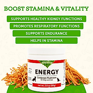 Animal Essentials Energy Cordyceps Mushroom Supplement for Dogs & Cats - Support Stamina & Endurance, Healthy Respiratory & Kidney Functions, Antioxidant, Mushroom Powder Extract - 2.8 Oz (Pack of 1)