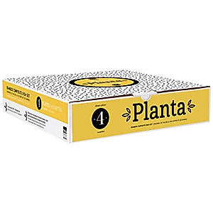 Now Designs Ecologie Dinner Plates, Set of Four, Fiesta Colors, DIA 10 x H 1 inches