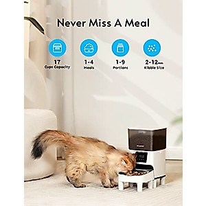 WUIPET Elevated Automatic Cat Feeders - 17 Cups Auto Pet Dry Food Dispenser for Cats and Dogs - Raised Programmable Timed Cat Feeder with Voice Recorder - 4 Meals Per Day and Portion Control