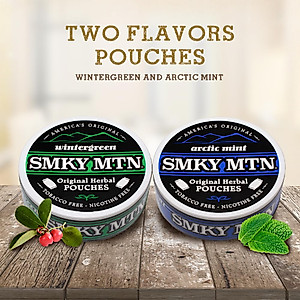 Smokey Mountain Original Pouches - Wintergreen - Tobacco Free and Nicotine Free - 1 Can - 20 Per Can