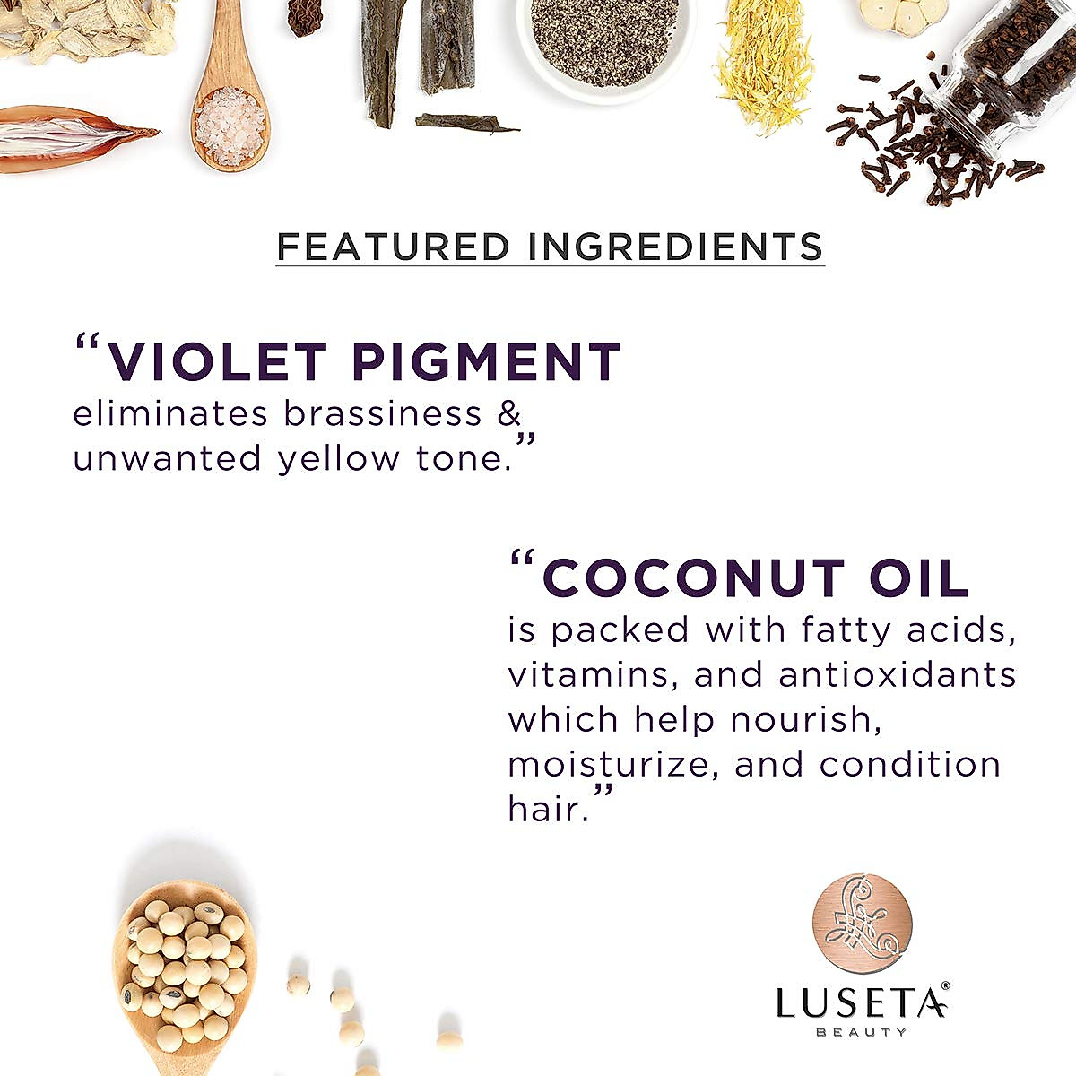 Luseta Color Brightening Purple Shampoo and Conditioner Travel Kit for Blonde and Gray Hair -Infused with Cocos Nucifera Oil to Help Nourish, Moisturize and Condition Hair, 2x1.01oz