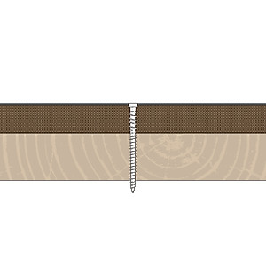 YYL,Composite Decking Stainless Steel Wood Screw, #10x2-1/2,Star Drive,Torx 20, Type 17 Slot Point,Wood Screw,1 Free Bit Included (#10x2-1/2, Dark Brown, 350)