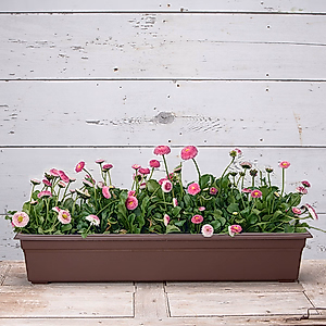 Novelty 16363 Countryside Flower Box Planter, 36-Inch, Brown