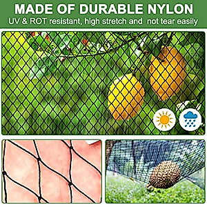 Bird Netting - 25’ x 50’ Garden Netting with 1” Square Mesh as Poultry Netting for Chicken Coop Roof, Heavy Duty Bird Netting for Garden Protection, Nylon Garden Mesh Netting for Fruit Tree, Bushes